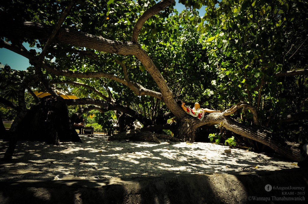 ทัวร์ 4 เกาะ (ไร่เลย์, ปอดะ, เกาะไก่, ทะเลแหวก) - 6 AUGUST JOURNEY